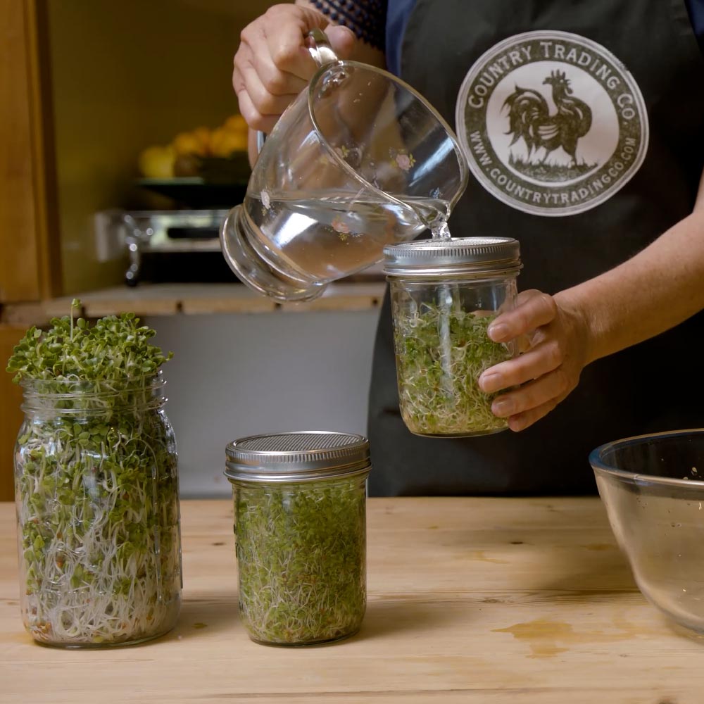 Seed Sprouting Kit | 3 Stainless Mesh Lids + Guide to Sprouting Seeds ...