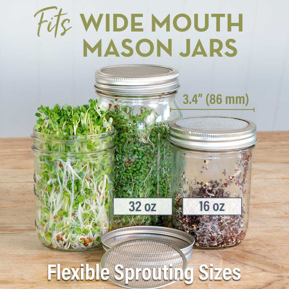 Seed Sprouting Kit | 3 Stainless Mesh Lids + Guide to Sprouting Seeds ...